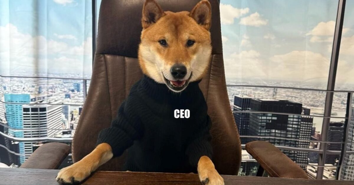 Floki, il cane di Elon Musk è diventato CEO di Twitter Floki, il cane di Elon Musk è diventato CEO di Twitter