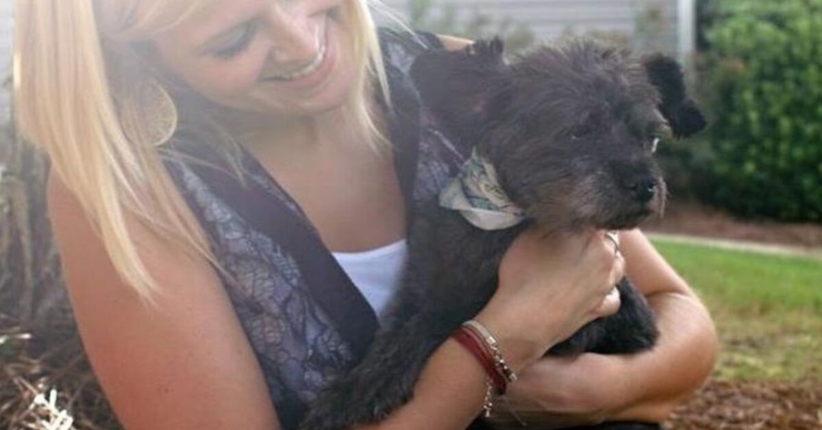 È anziano e malato, ma questo cane è pronto a dare gioia a chi l'ha ... È anziano e malato, ma questo cane è pronto a dare gioia a chi l'ha ...