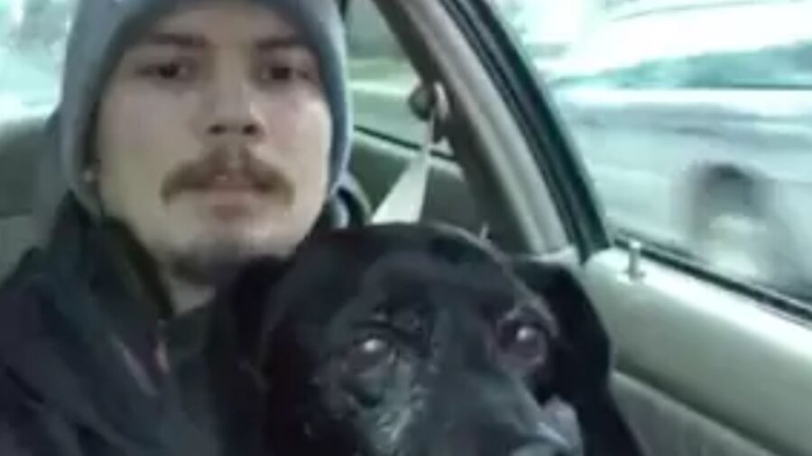 Il fattorino salva un cane mentre sta consegnando le pizze: Il fattorino salva un cane mentre sta consegnando le pizze: