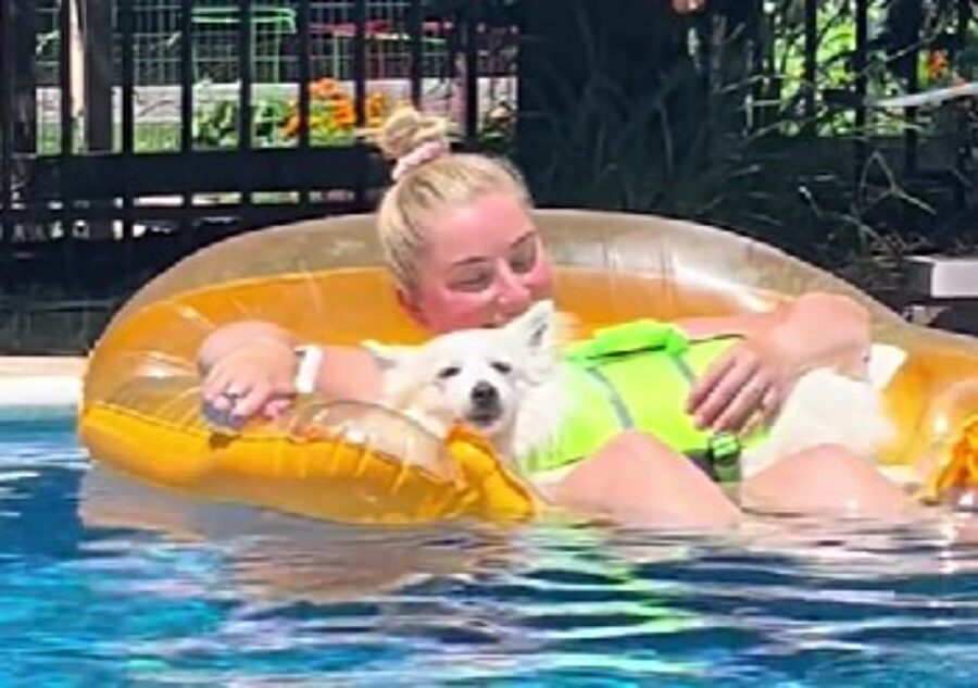 Pelle e ossa, questa cagnolina è stata abbandonata in un campo. Troverà ... Pelle e ossa, questa cagnolina è stata abbandonata in un campo. Troverà ...